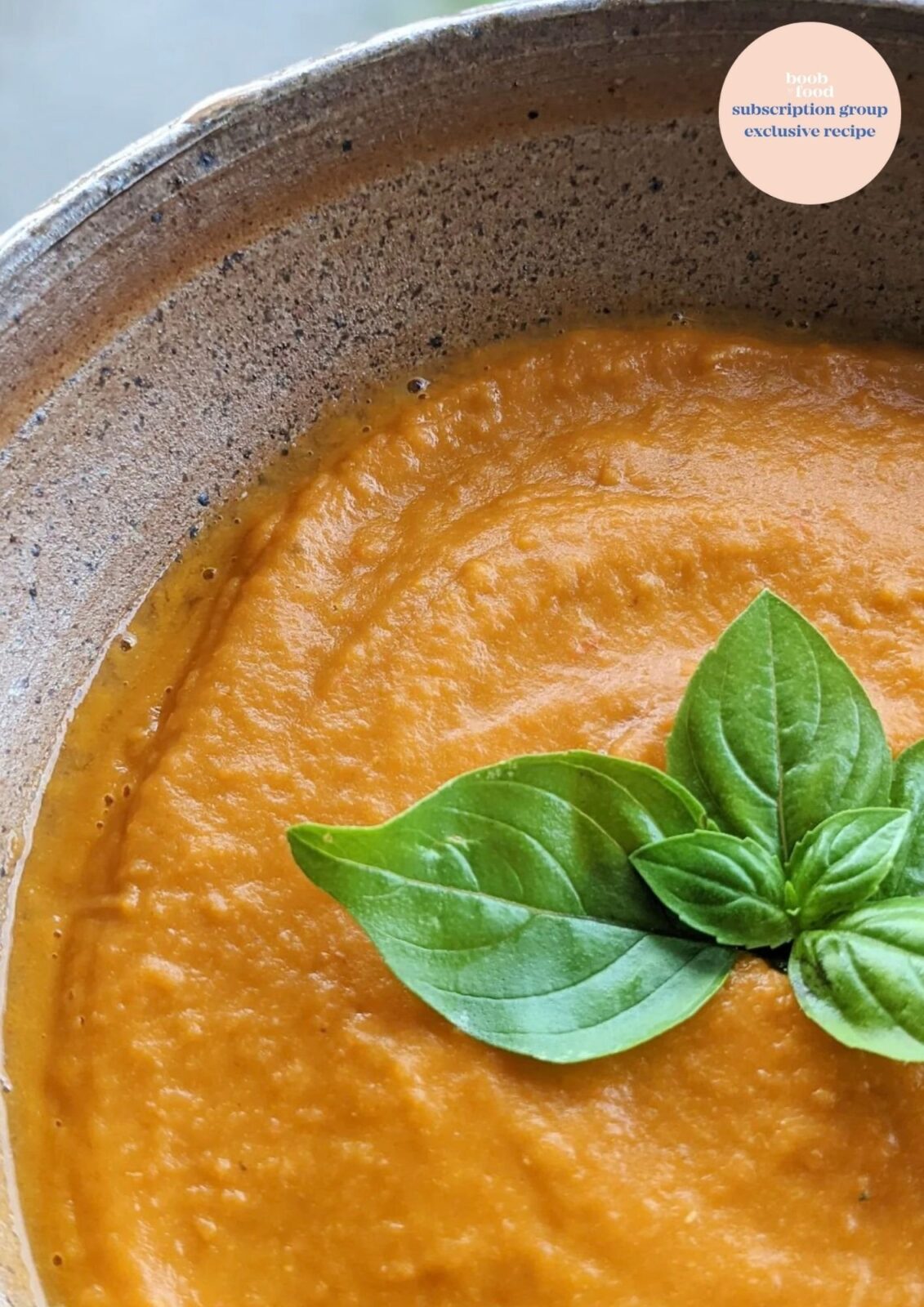 Roasted Tomato and Capsicum Cannellini Bean Soup/Puree | Boob to Food