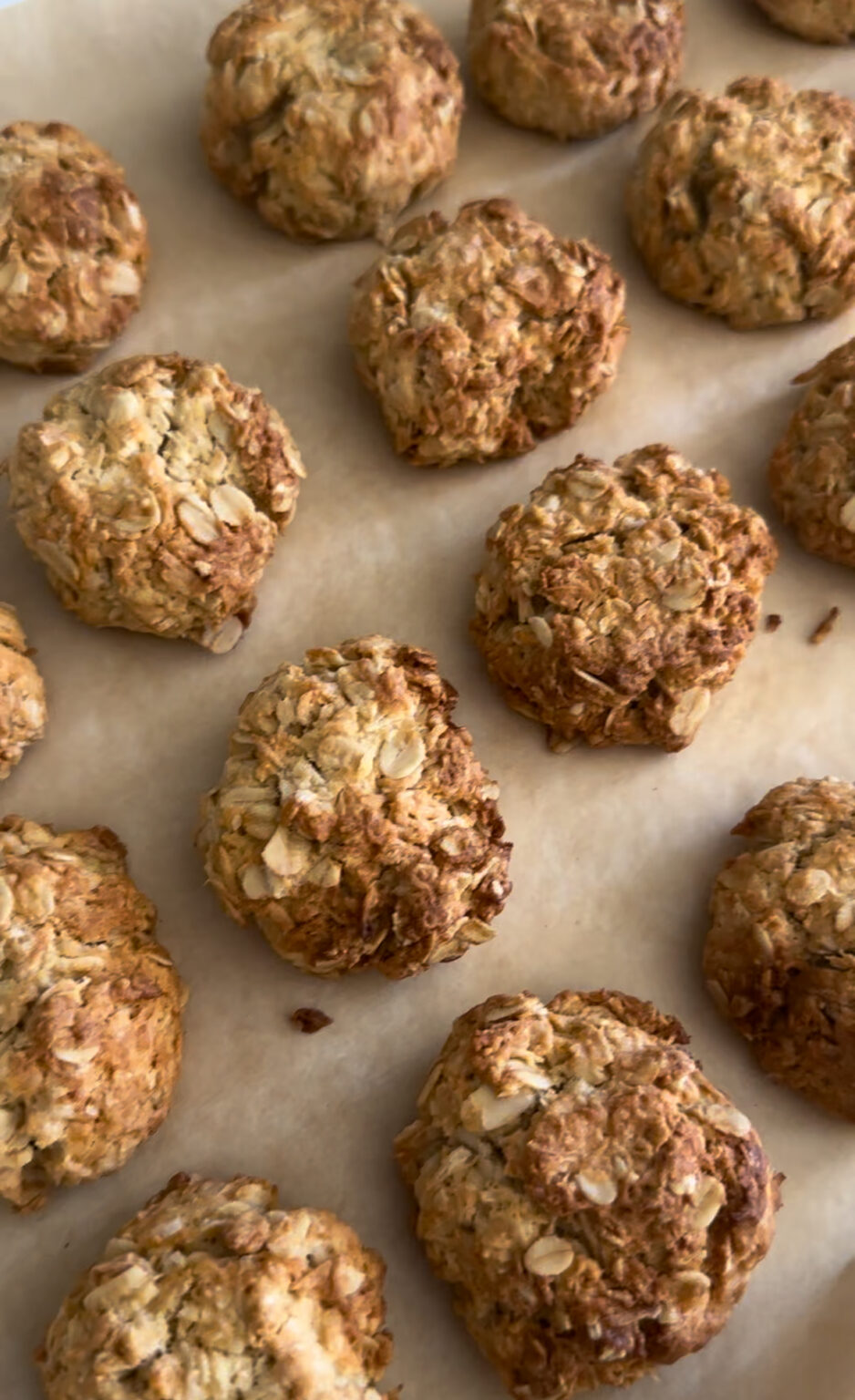 Anzac Biscuits | Boob to Food